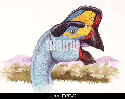 Palaeozoology - Cretaceous period - Dinosaurs - Oviraptor - Art work by ...