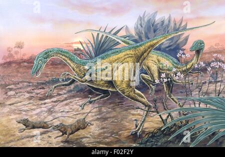 Palaeozoology - Cretaceous Period - Dinosaurs - Saurornithoides (art ...