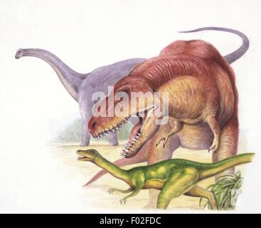 Palaeozoology - Cretaceous period - Dinosaurs - Indosuchus - Art work ...