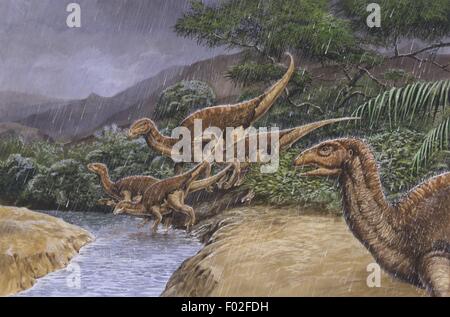 Palaeozoology - Cretaceous period - Dinosaurs - Probactrosaurus - Art ...