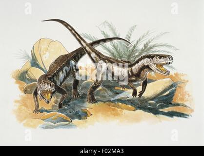 Palaeozoology - Triassic period - Animals in a prehistoric environment ...