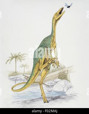 Palaeozoology - Triassic period - Animals in a prehistoric environment ...