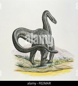 Shunosaurus Stock Photo: 66713171 - Alamy