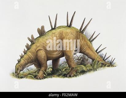 Palaeozoology - Jurassic period - Dinosaurs - Chialingosaurus and calf ...