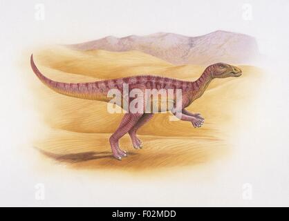 Palaeozoology - Cretaceous period - Dinosaurs - Gilmoreosaurus - Art ...
