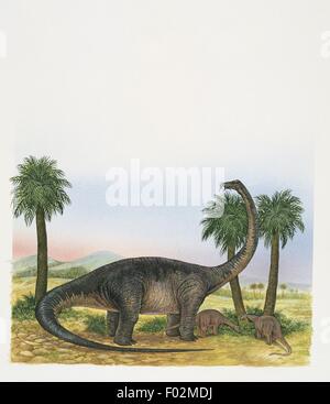 Quaesitosaurus dinosaur family in the forest Stock Photo - Alamy