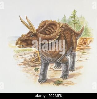 Palaeozoology - Cretaceous period - Dinosaurs - Arrhinoceratops - Art ...