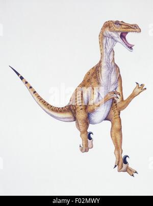Palaeozoology - Cretaceous period - Dinosaurs - Velociraptor - Art work ...