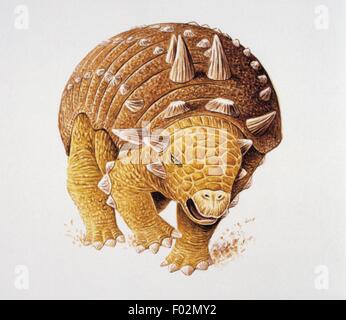 Palaeozoology - Cretaceous period - Dinosaurs - Euoplocephalus (on the ...