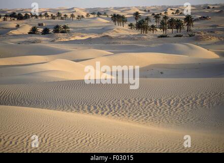 Dunes and oasis between Touggourt and El Oued, Sahara Desert, Algeria ...