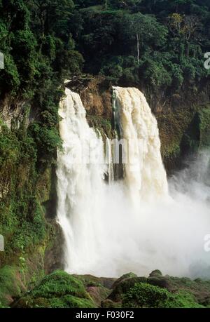 Ekom-Nkam waterfall near Nkongsamba, in Cameroon/Cameroun Stock Photo ...