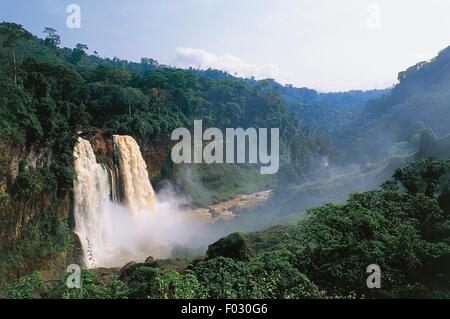 Ekom-Nkam waterfall near Nkongsamba, in Cameroon/Cameroun Stock Photo ...