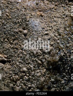 Phosphorite (Sedimentary Rock Stock Photo - Alamy