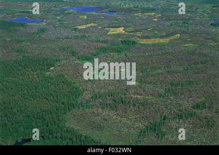 Aerial view of the surroundings of Igarka - Siberia, Russia Stock Photo ...