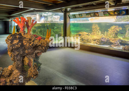 Genova, Italy - The famous Aquarium of Genoa, Liguria region. It's the ...