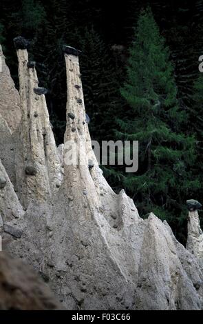 Earth pyramids in Perca, Ahrntal Valley, Trentino-Alto Adige, Italy ...