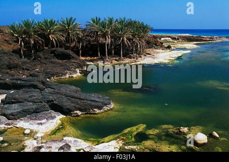 Coastline, Hadibu, island of Socotra, Yemen Stock Photo - Alamy