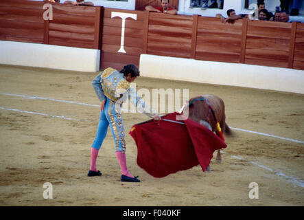 Bullfighter in action using the muleta (cape with stick), bullfighting ...