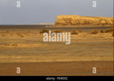 Chott Melrhir, salt lake, Algeria Stock Photo - Alamy