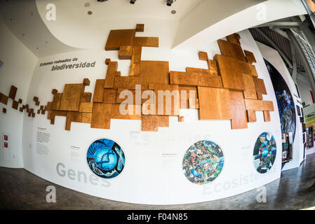 Biomuseo Biodiversity Exhibit Panama City Panama // PANAMA CITY, Panama ...