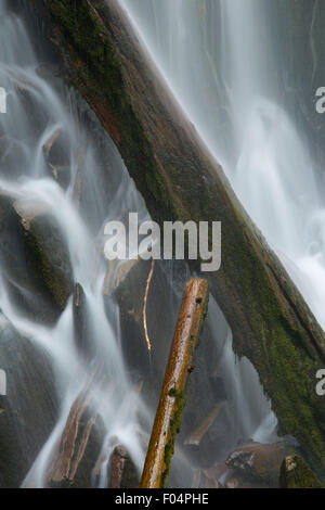 National Creek Falls, Rogue River National Forest, Oregon Stock Photo ...