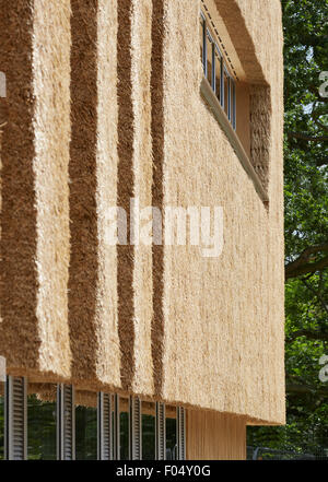 Perspective of thatch panel facade and windows. The Enterprise Centre ...