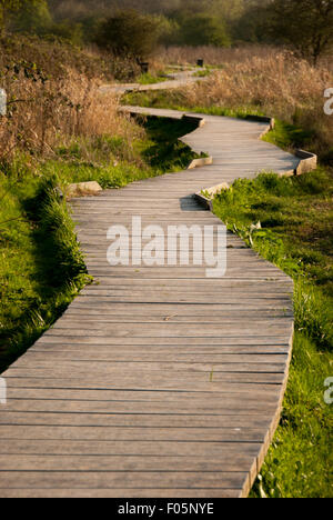 A winding wooden plank path on the beach in Portugal Stock Photo - Alamy