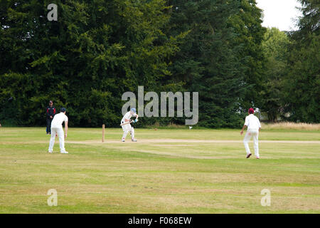 Old Wolves v Rugely Cricket teams playing a match at Wolverhampton ...