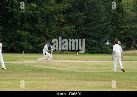 Old Wolves v Rugely Cricket teams playing a match at Wolverhampton ...