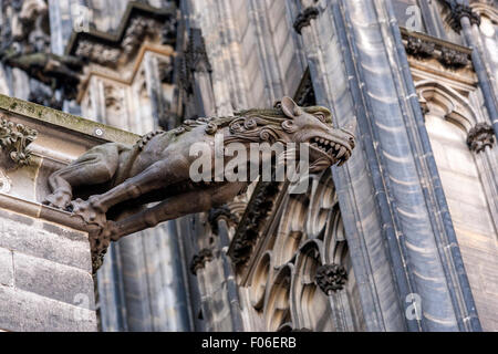 gargoyle at cologne cathedral Stock Photo: 141455967 - Alamy