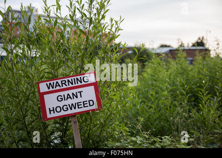 Danger Invasive Species sign Stock Photo - Alamy