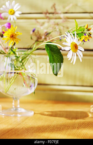 Daisy flowers bouquet. Bunch of chamomile flowers on blue background ...