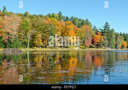 Sunrise above forest lake in Killarney park, Canada Stock Photo - Alamy