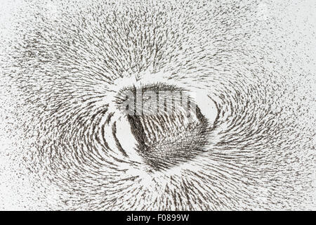 Magnetic repulsion. The iron filings sprinkled between these two bar ...