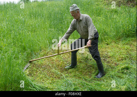 Austrian farmer using a traditional wooden scythe to cut a meadow field ...
