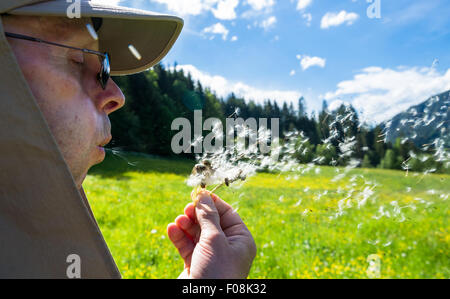 Man blowing airborne seeds from a dandelion seed head Stock Photo - Alamy