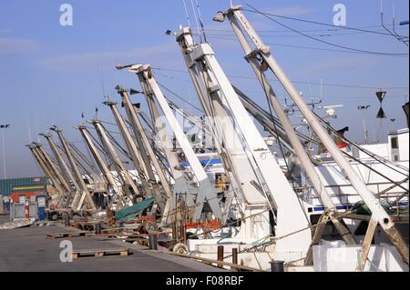 Pila, municipality of Porto Tolle, delta of river Po in the province of ...