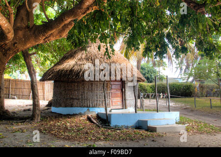 Typical African home hut in Cameroon near Bamenda Stock Photo - Alamy