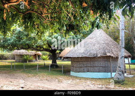 Typical African home hut in Cameroon near Bamenda Stock Photo - Alamy