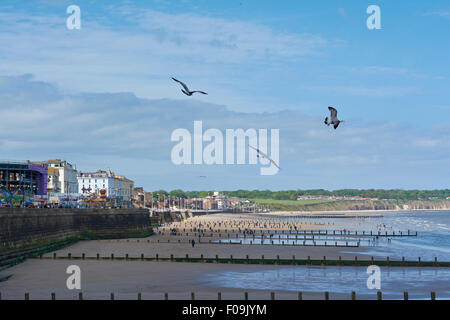 North beach groynes and promenade, Bridlington, East Yorkshire, England ...