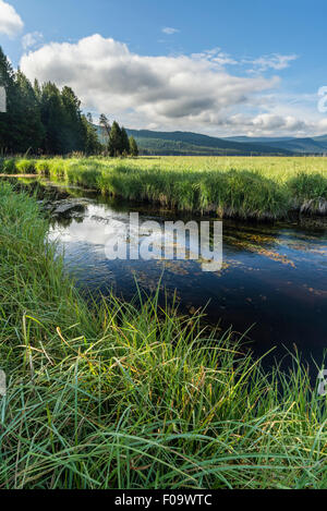 Big Marsh, Oregon Stock Photo - Alamy