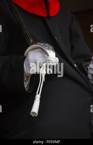 The ceremonial dress uniform of the Royal Dragoons Guards as they ...