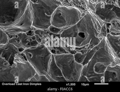 Scanning electron micrograph image of iron oxide formations with Stock ...