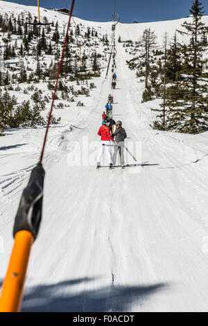 Skier skiing on snow, rear view Stock Photo - Alamy