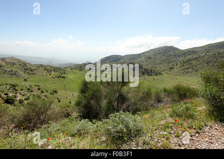 Golan Heights landscape Stock Photo - Alamy