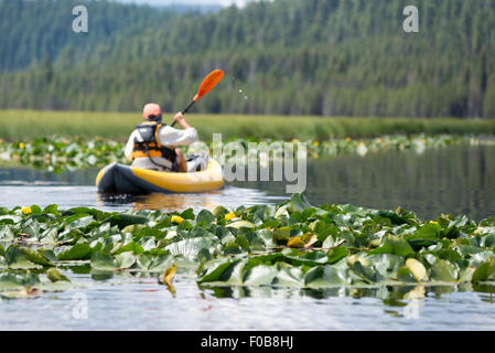 Paddling Big Marsh, Oregon Stock Photo - Alamy