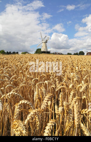 Woodchurch Windmill Kent England UK GB Stock Photo - Alamy