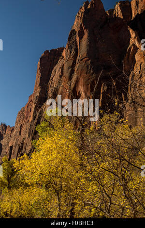 Autumn in Zion Stock Photo - Alamy