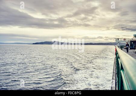 USA, Washington State, Bainbridge Island. Cattails on pond in spring ...