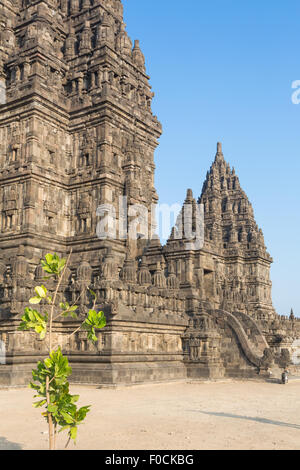 java indonesia Temple near Jogjakarta Stock Photo - Alamy